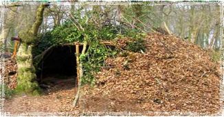 Seis de los mejores refugios de supervivencia en la naturaleza | Image ...