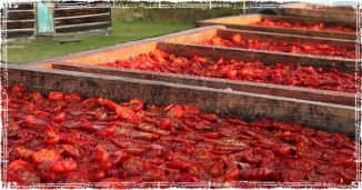 FOOD PRESERVATION: Sun Drying Fruits and other Foods