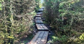 Major U.S. Hiking Trails: A List of the Longest Hiking Trails in America