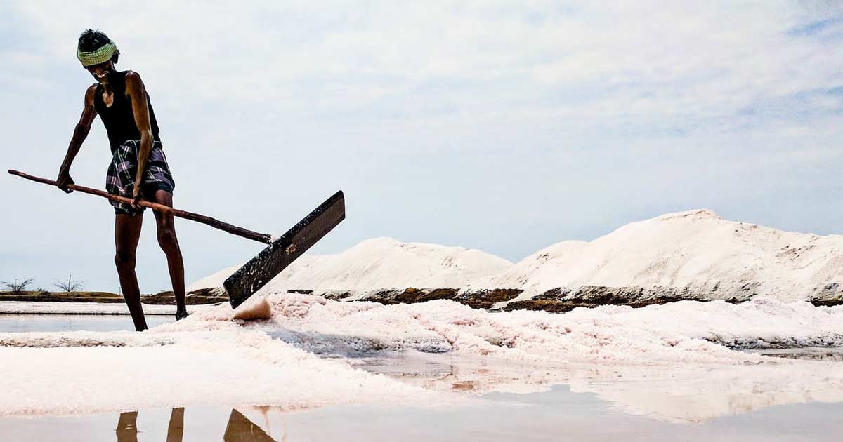 Finding salt in the Wilderness for survival