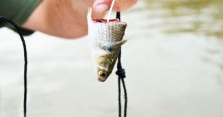 Trotline Tactics Unlocked: How to Catch Multiple Fish in a Survival ...