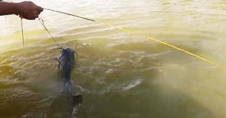 Trotline Tactics Unlocked: How to Catch Multiple Fish in a Survival ...