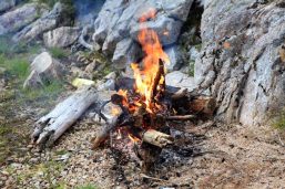 How to Start a Fire: The Art and Science of Fire Building