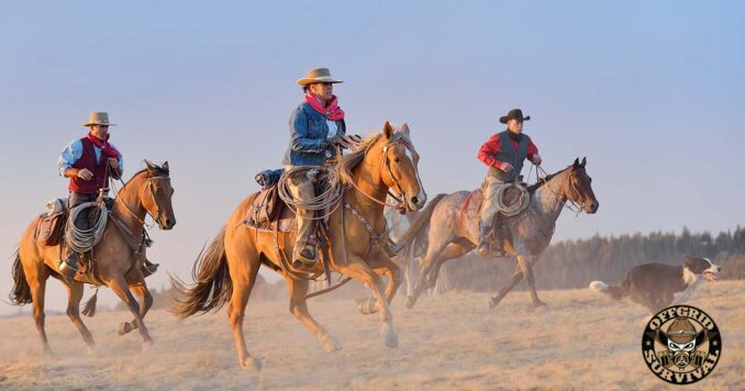 Prepper Communities: Building a Survival Network in Troubled Times