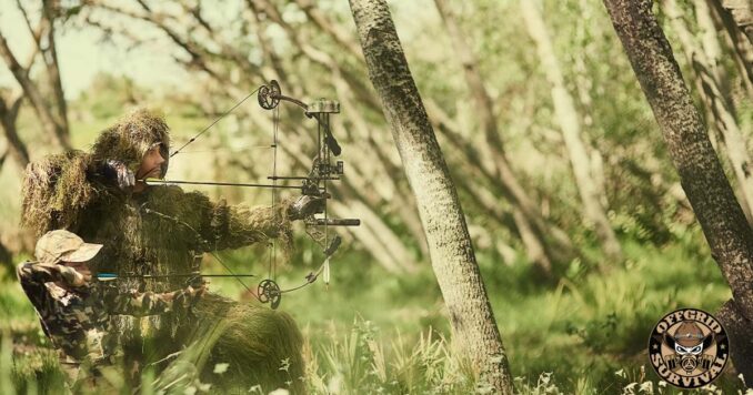 Survival Archery: The Ultimate Skill for a Post-Apocalyptic World?