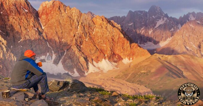 Surviving the Great Outdoors: A Comprehensive Guide to Wilderness Survival