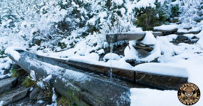 Surviving the Great Outdoors: A Comprehensive Guide to Wilderness Survival