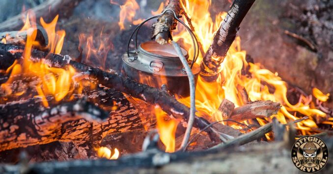 Surviving the Great Outdoors: A Comprehensive Guide to Wilderness Survival