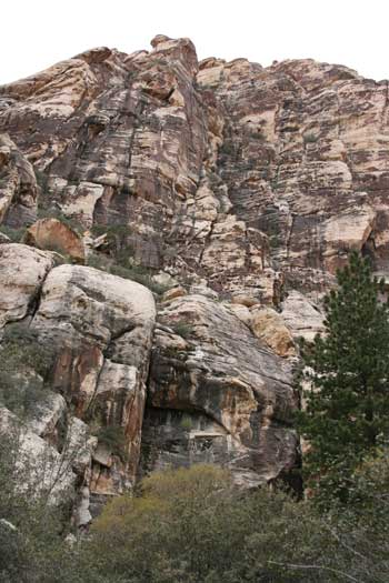 Hiking Red Rock's Ice Box Canyon in Nevada
